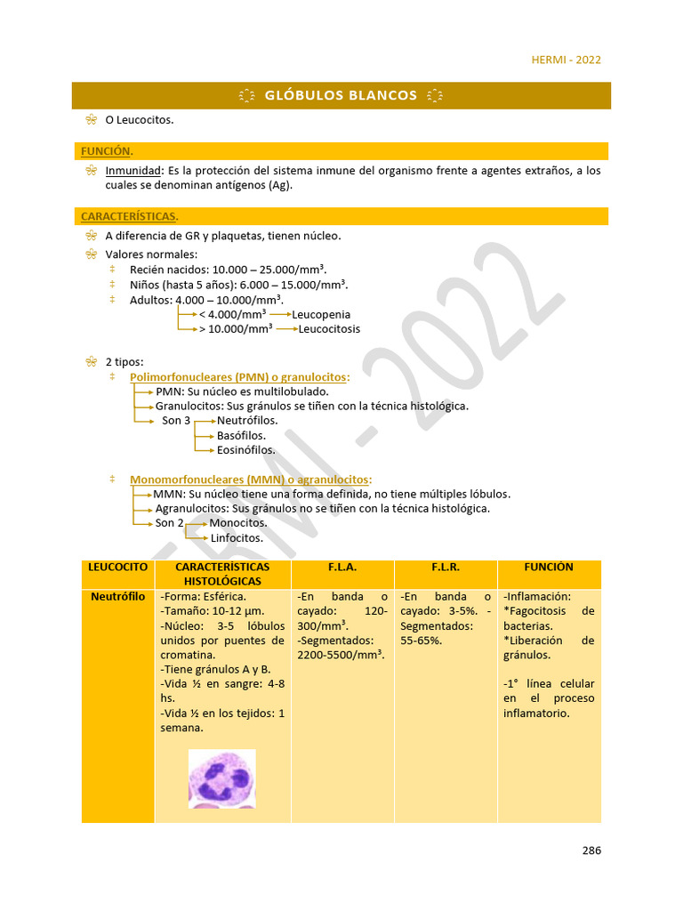 16) Glóbulos Blancos | PDF | Inflamación | Sistema inmune