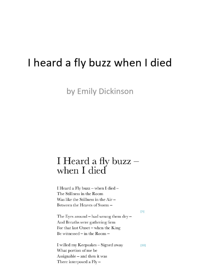 Analyzing Dickinson's "I Heard a Fly Buzz" | PDF | Metre (Poetry)