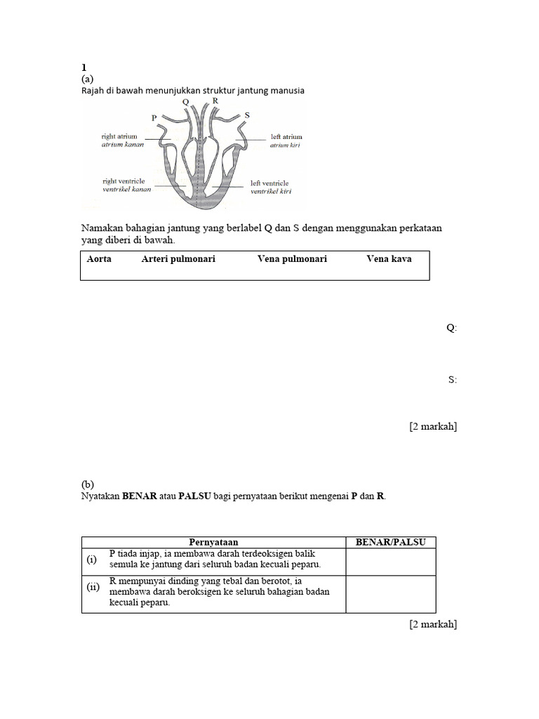 Soalan+skema SC Bab 1-4 | PDF