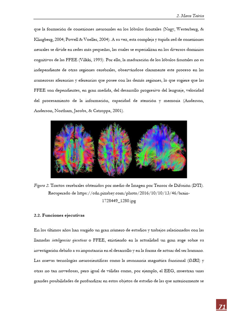 Funciones Ejecutivas: Teoría y Aplicaciones | PDF | Atención | Memoria