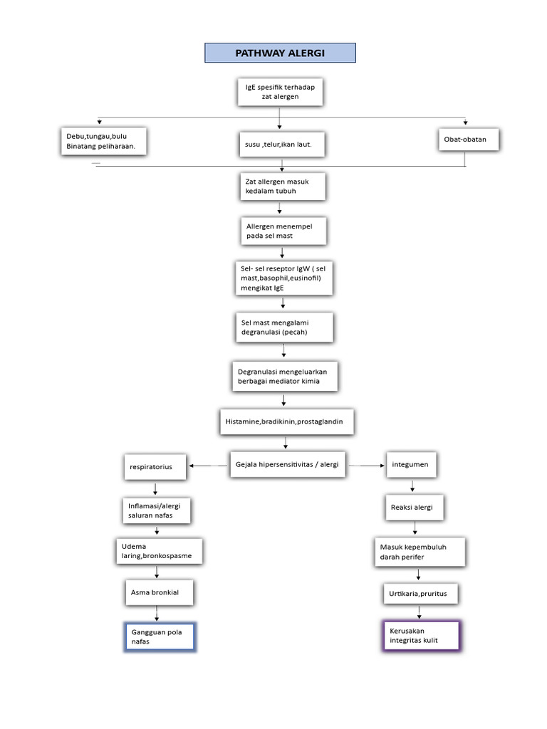 Pathway Alergi | PDF
