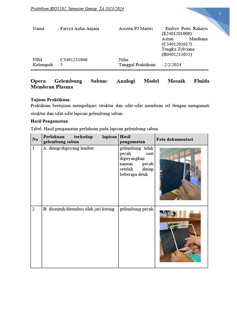 Opera gelembung sabun | PDF