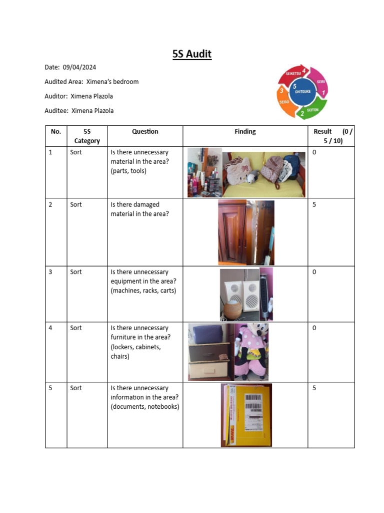 5's Audit | PDF | Audit