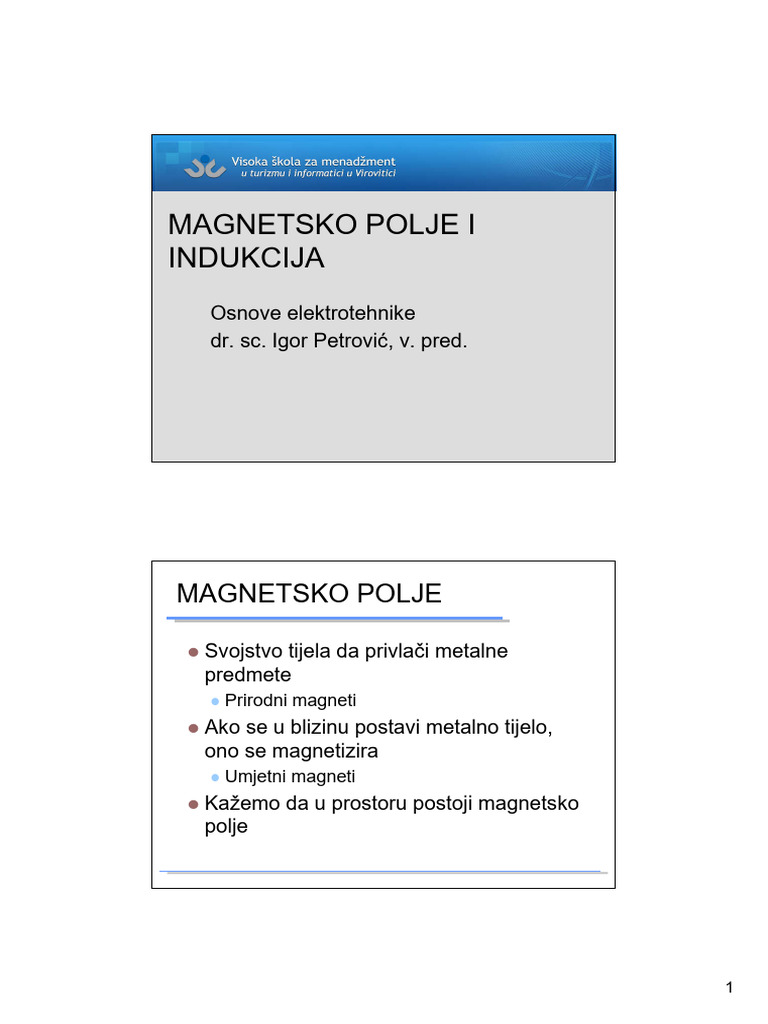 Magnetsko Polje I Indukcija | PDF