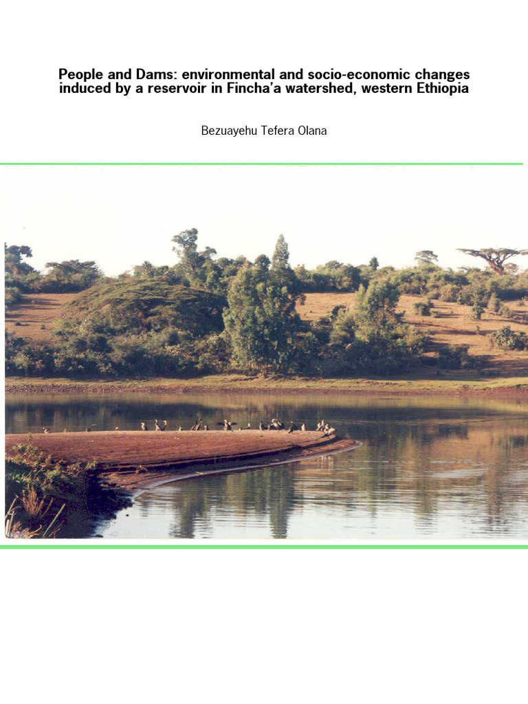 Socio-Economic Impacts of Fincha’a Dam | PDF | Hydroelectricity | Dam