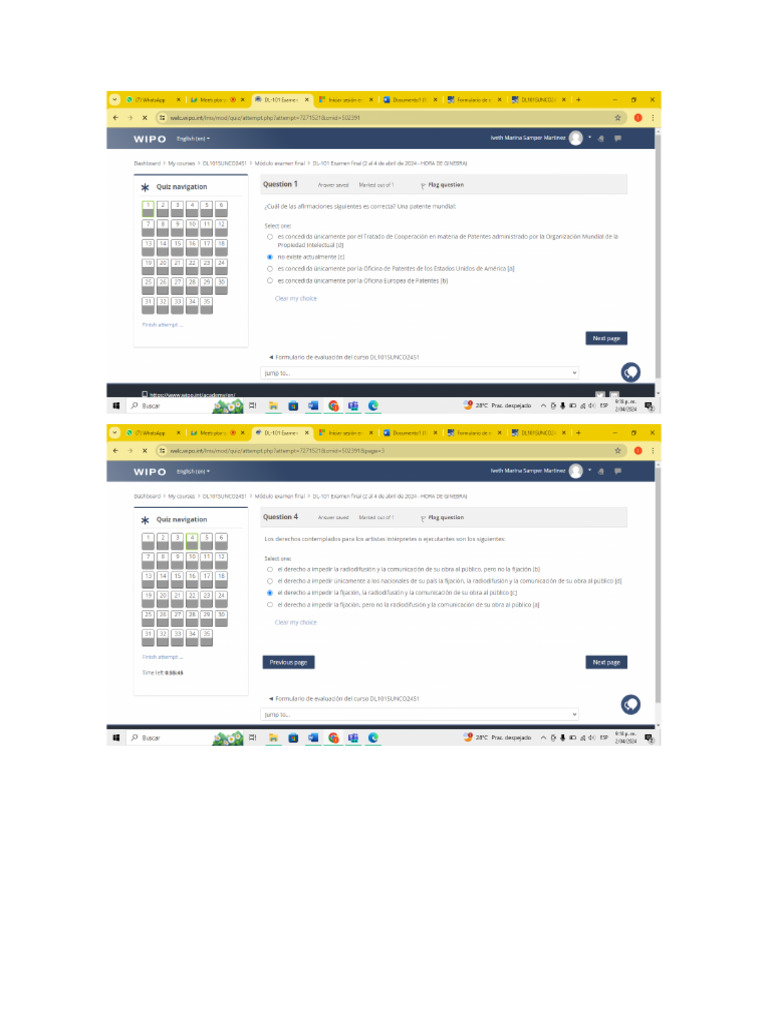 Preguntas Ompi | PDF