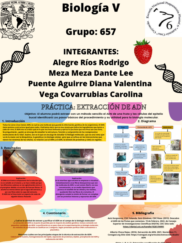 Práctica Extracción de ADN | PDF | Adn | Organismos