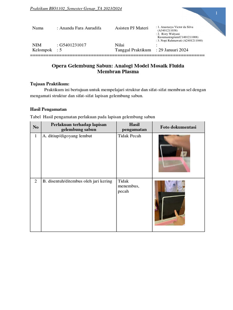 G5401231017 - Ananda Fara Auradifa - Opera Gelembung Sabun | PDF