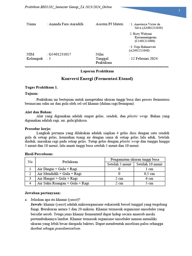 Ananda Fara Auradifa - G5401231017 - Konversi Energi (Fermentasi Etanol ...