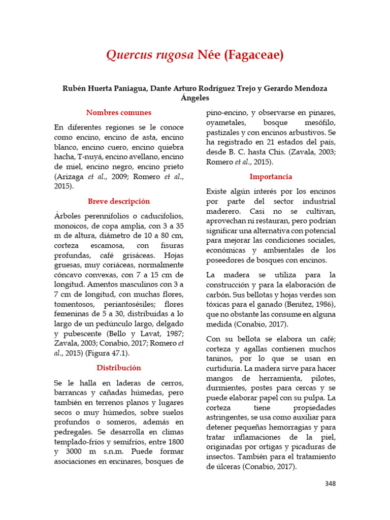 Quercus Rugosa Nee - Fagaceae | PDF | Roble | Germinación