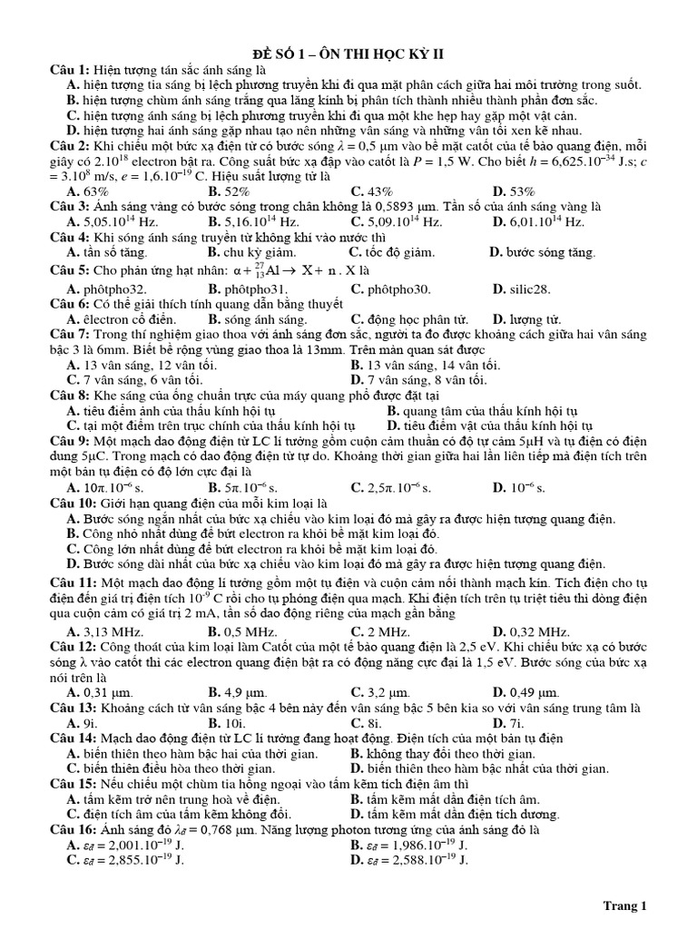 10 de On Thi HKII HS 2024 | PDF