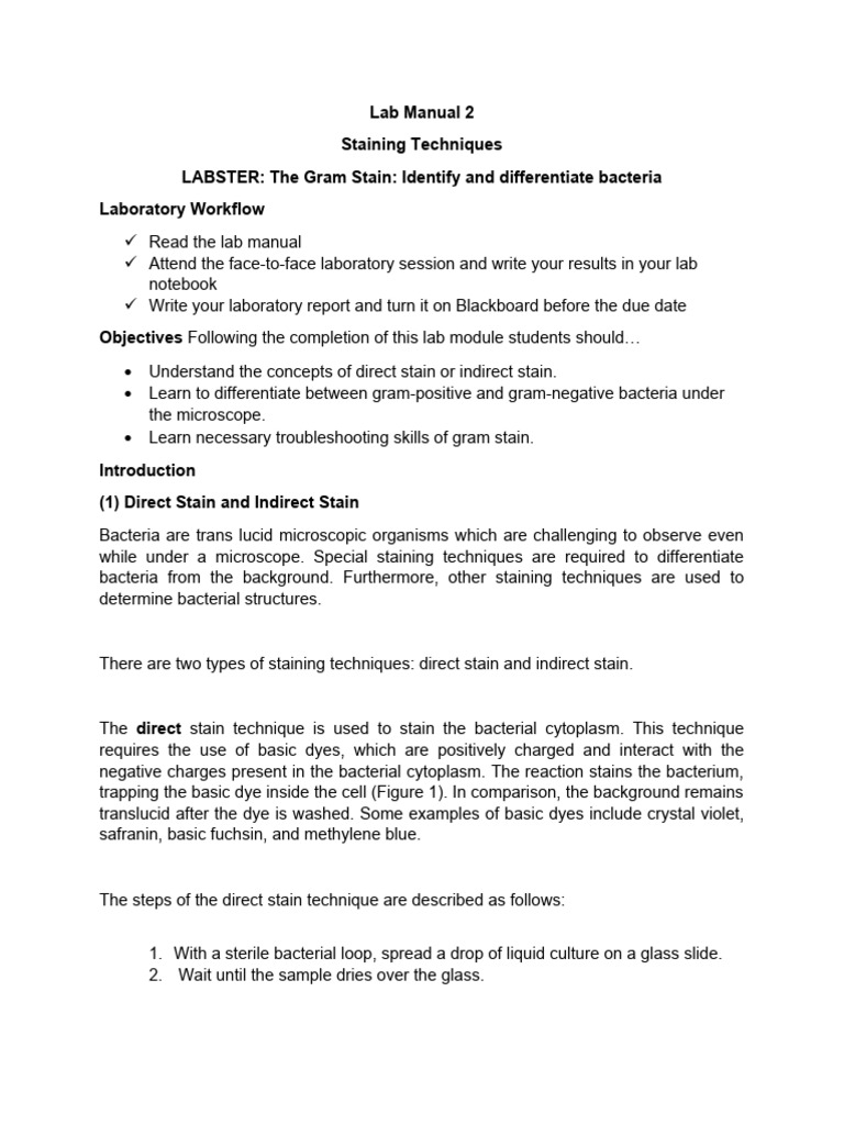 Laboratory 2 - Staining Techniques | PDF | Gram Positive Bacteria ...