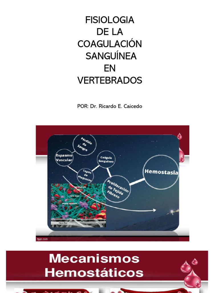 D) - Fisiologia de La Coagulacvion Sanguínea | PDF