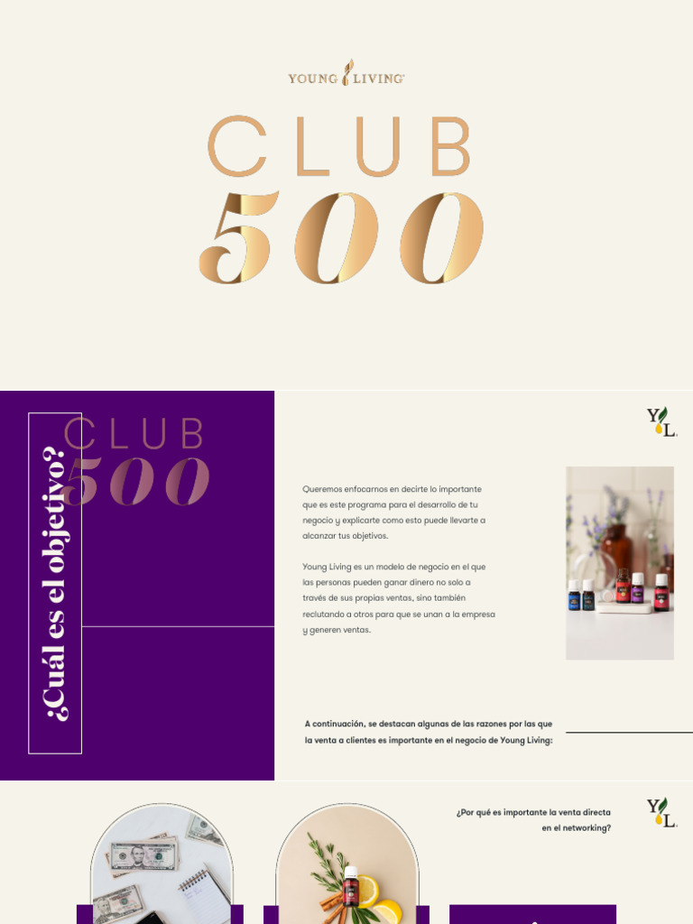 club-500 | PDF | Business