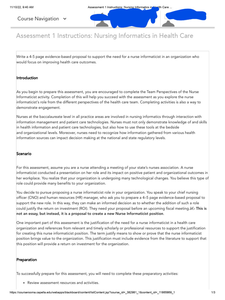 Nurse Informaticist Proposal | PDF | Nursing | Health Informatics