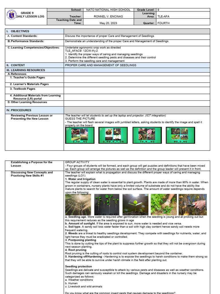 dll 4th quarter cot 2 | PDF | Seedling | Root