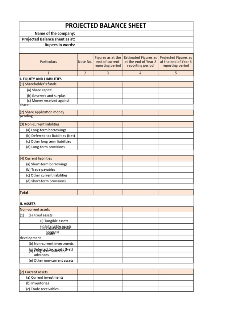projected-balance-sheet-format | PDF