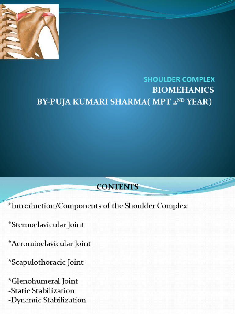 Shoulder Complex (1) FINAL | PDF | Anatomical Terms Of Motion | Shoulder