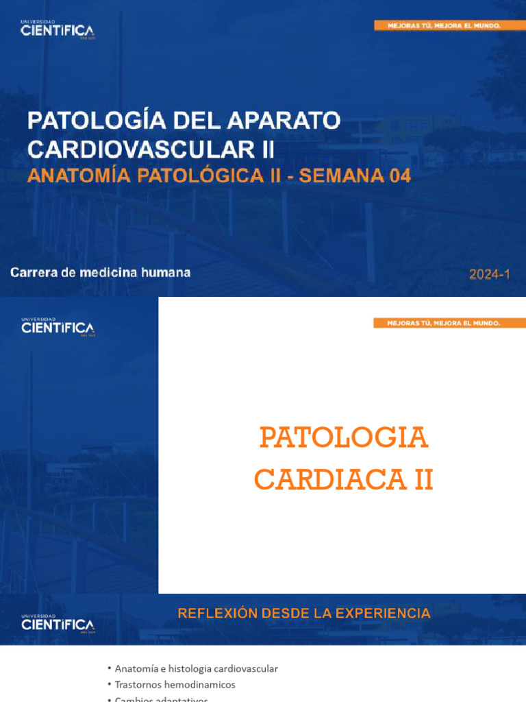Anatomia Patologica Ii - Sem-04 - Sesión-04 - 2024-1 | PDF ...