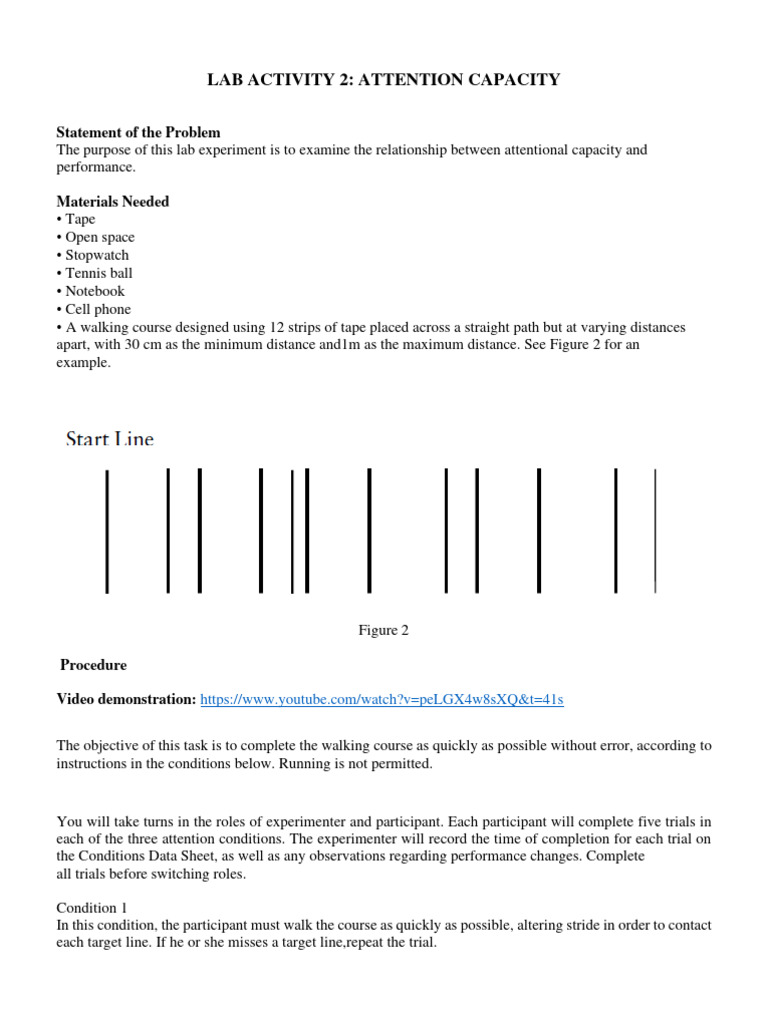 Lab 2 (Attention Capacity) | PDF