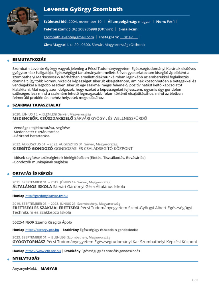 Szombath Levente György | PDF