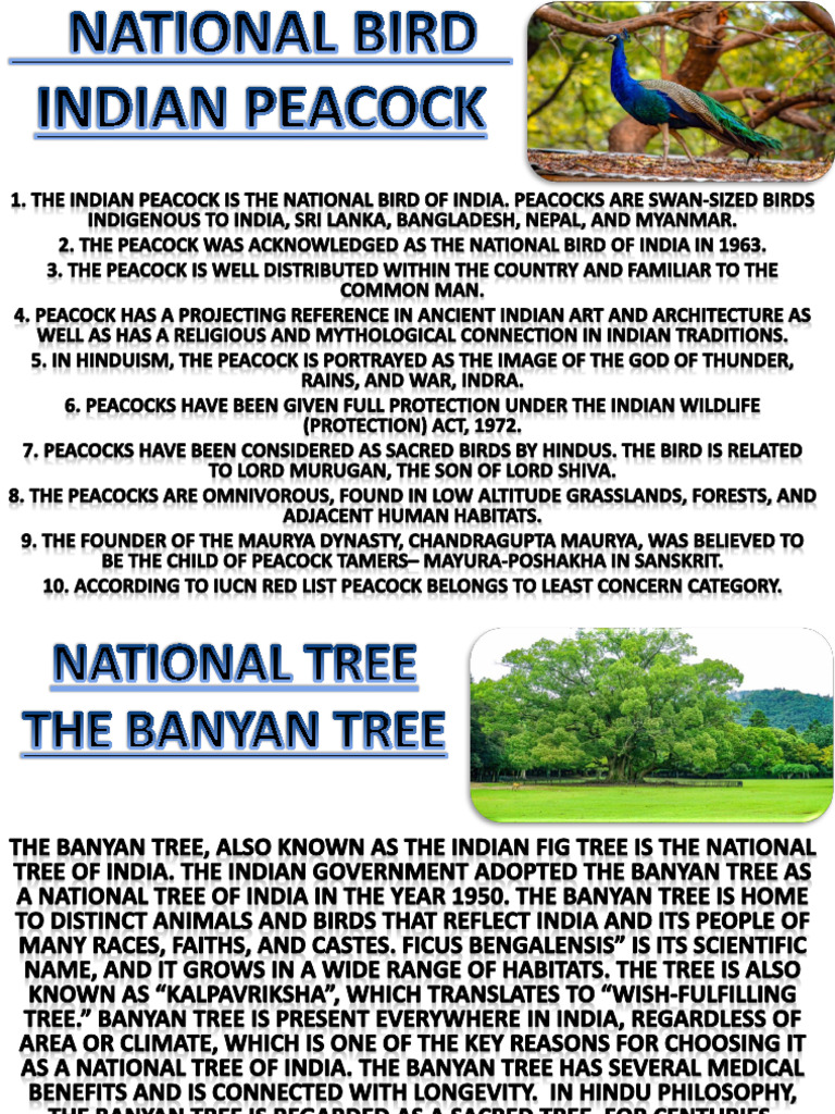 National Symbols 2 | PDF