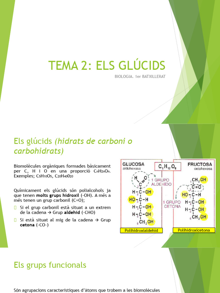 Tema 2. Els Glúcids | PDF