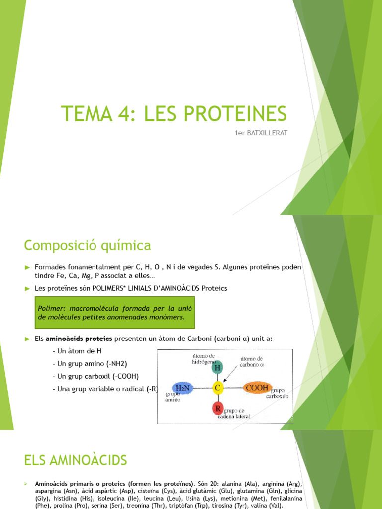 Tema 4. Proteïnes | PDF