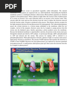 RT Safe Distance Calculation | PDF | Theory Of Medicine | Biophysics