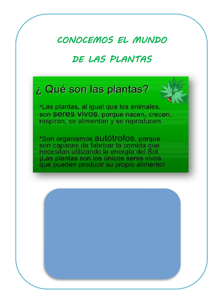 Exploración de Plantas para Niños | PDF | Curiosidad | Observación