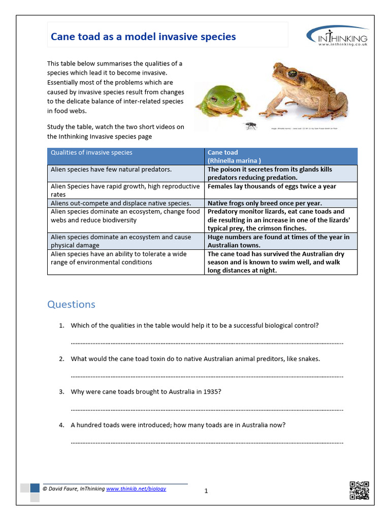Invasive Cane Toad Qns | PDF | Predation | Zoology