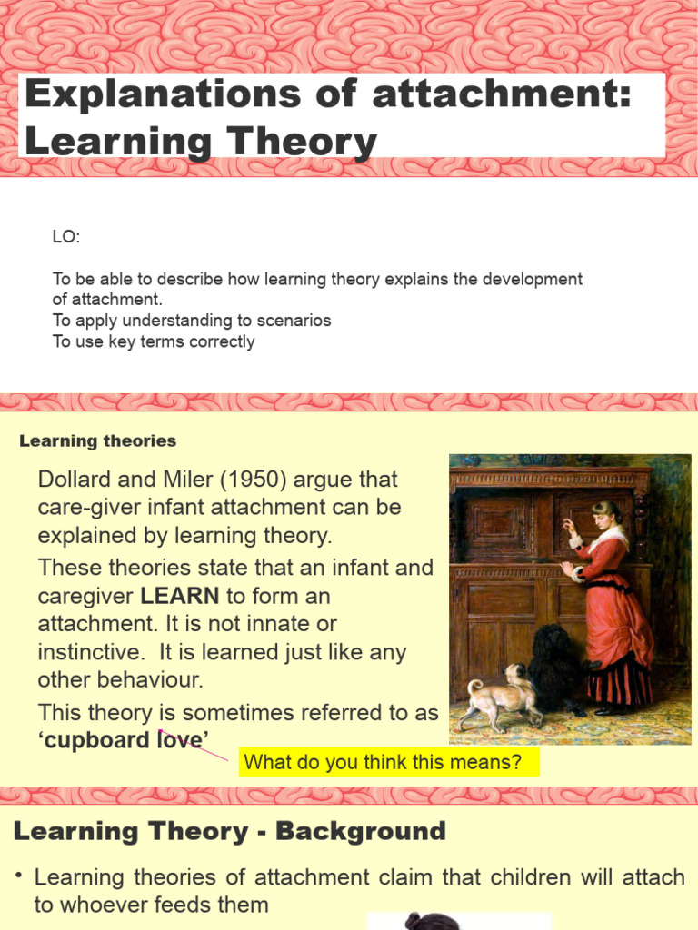 Learning Theory of Attachment AO1 Flipped | PDF | Attachment Theory | Classical Conditioning
