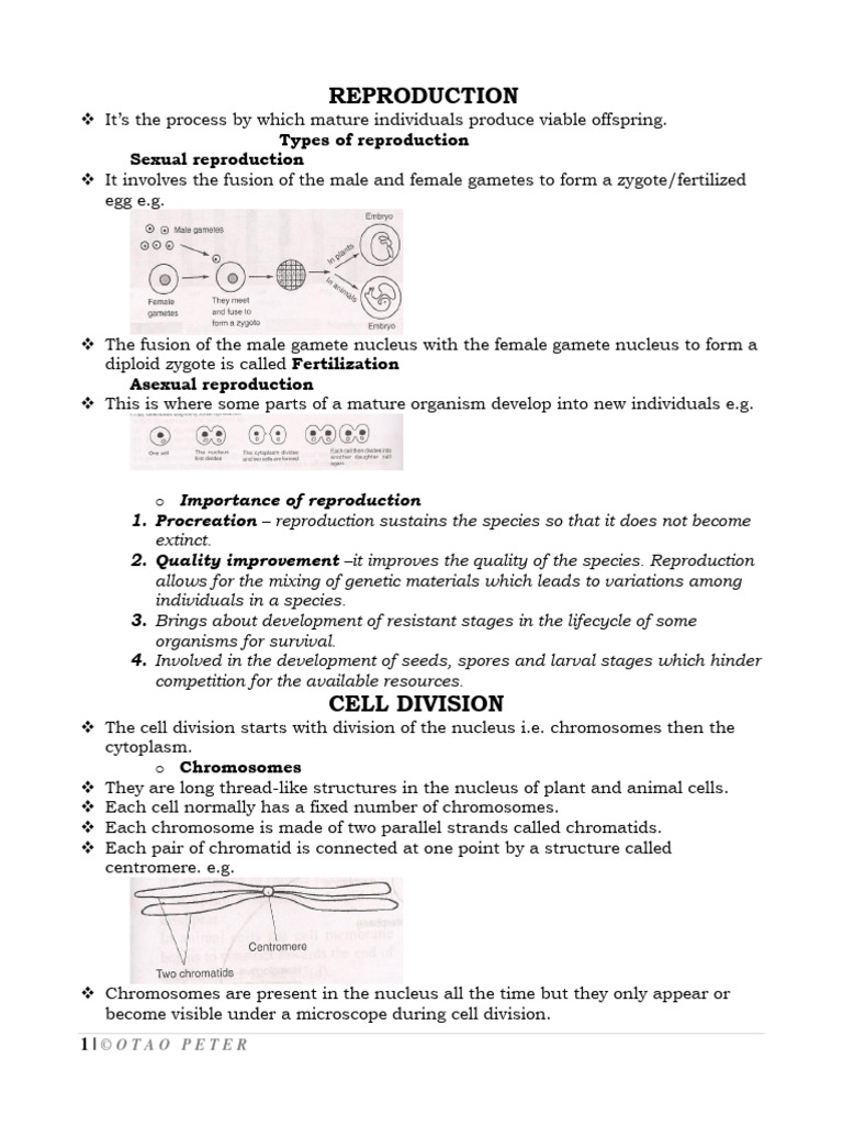 Reproduction in Plants and Animals Notes - Form 3 - Biology | PDF ...