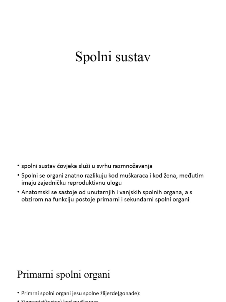 Spolni Sustav | PDF