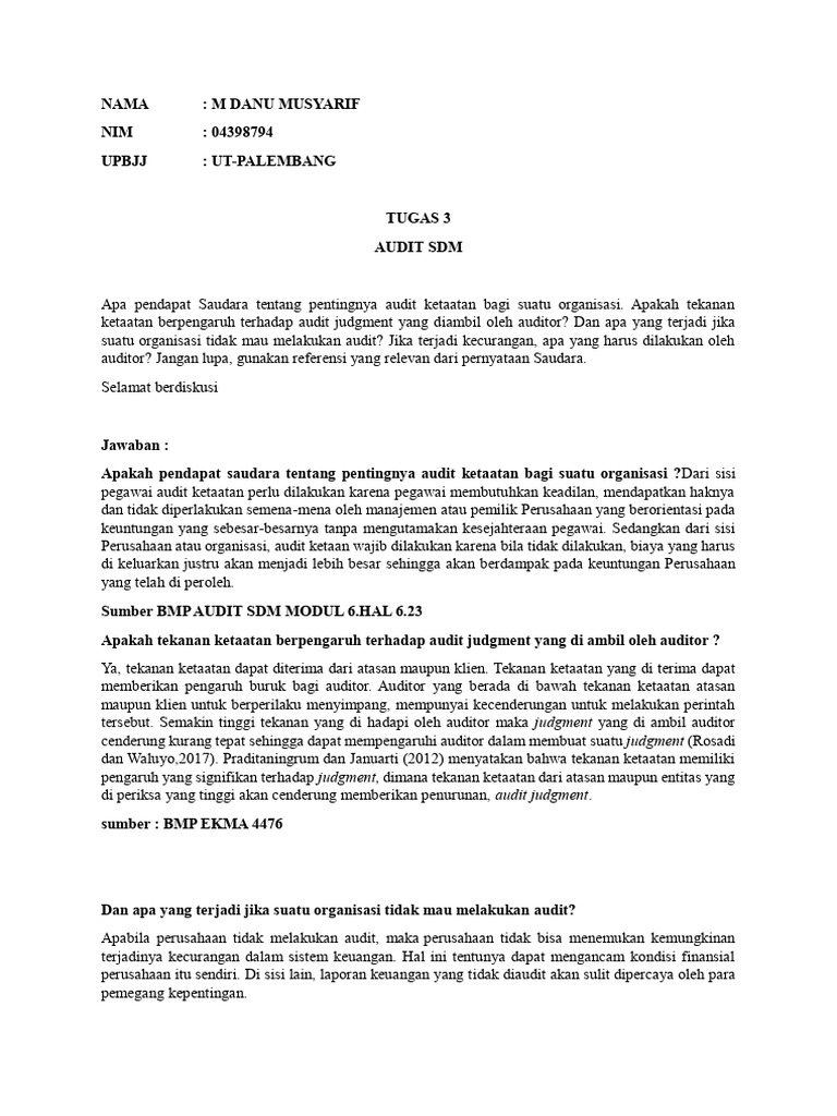 Tugas 3 Audit SDM | PDF
