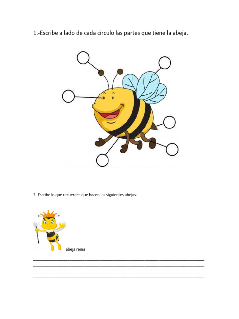 Actividades de Abejas para Niños | PDF | Apicultura | Abejas