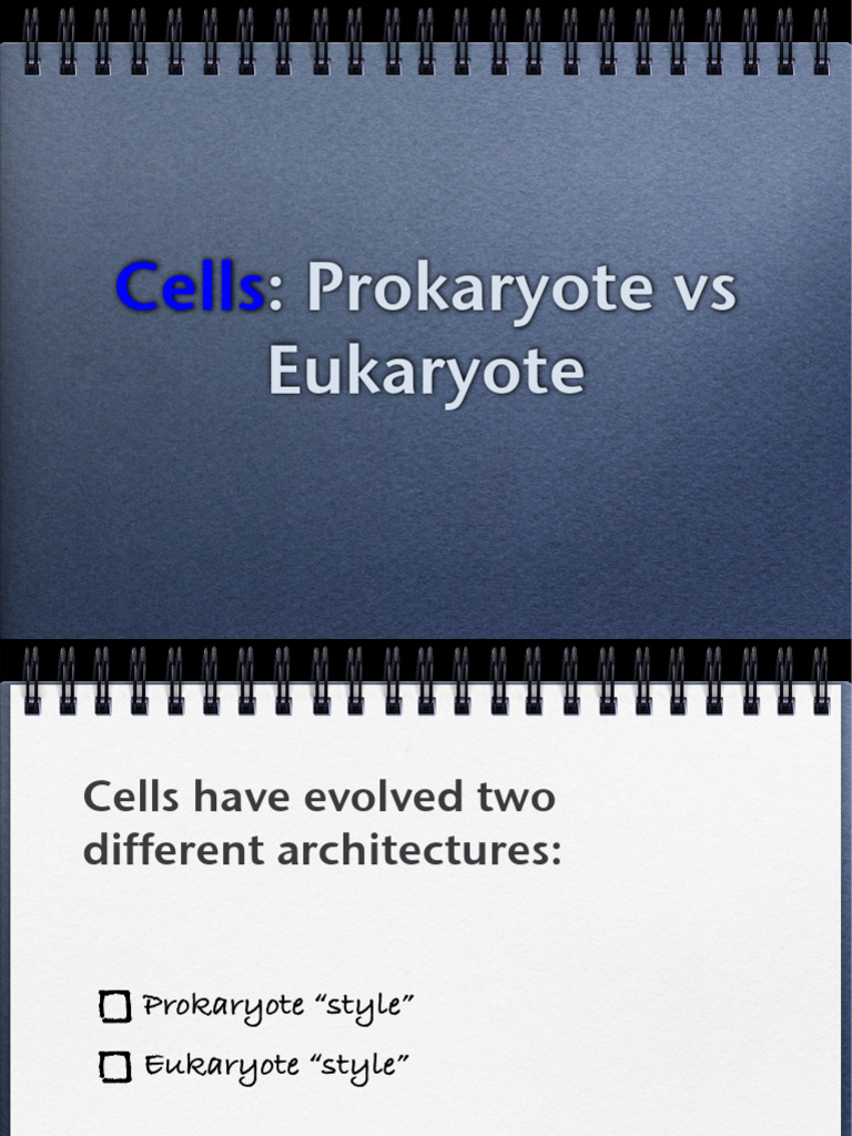 Euk. vs. Prok | PDF | Cell (Biology) | Endoplasmic Reticulum