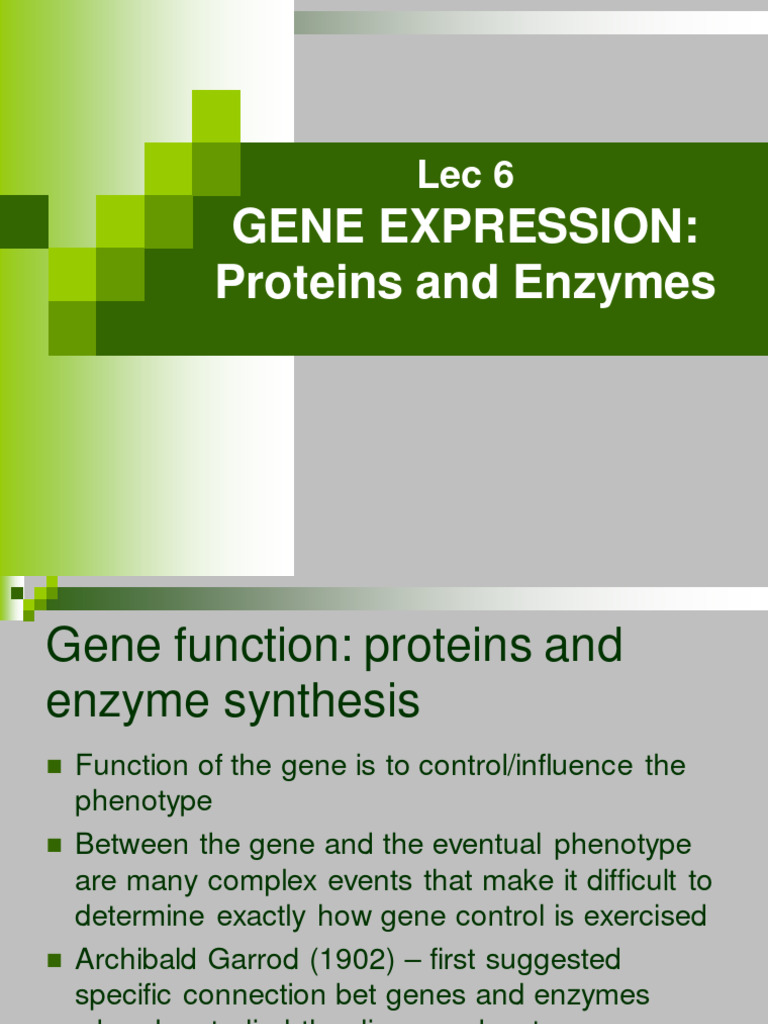 Lec 6 Gene Functions | PDF | Rna | Messenger Rna