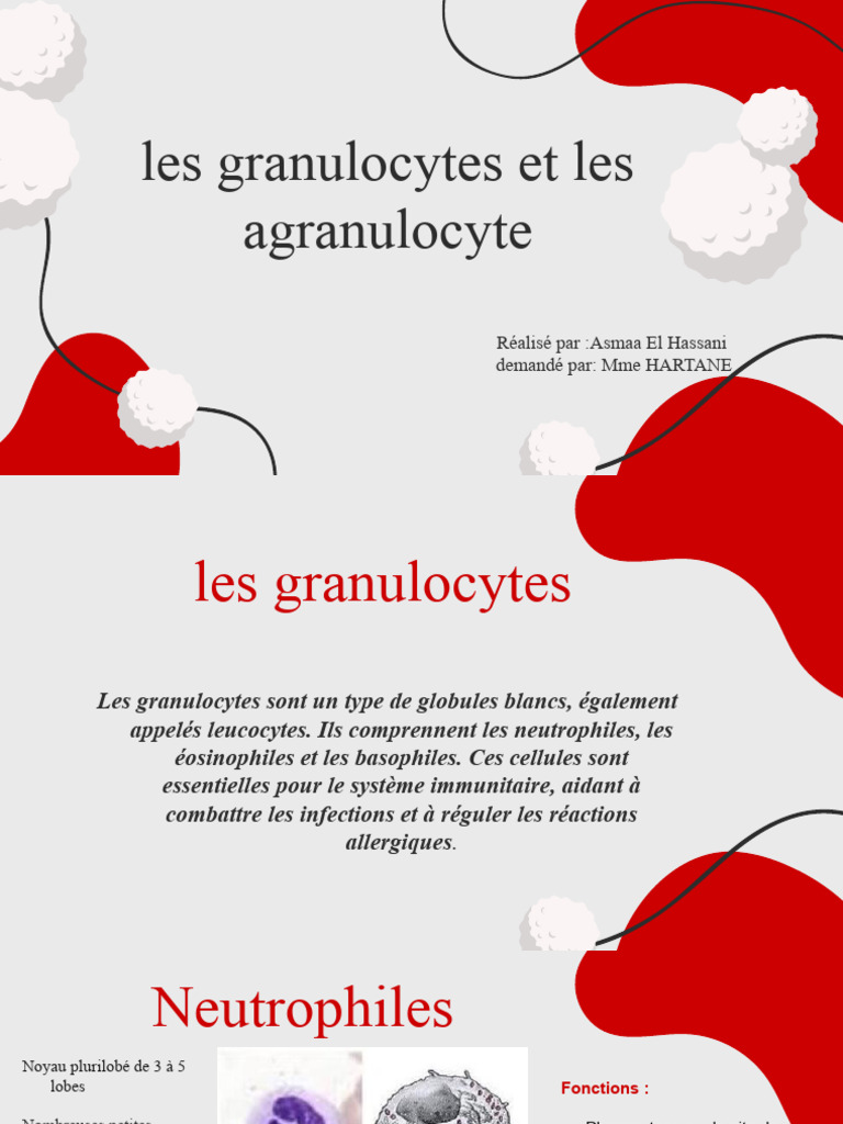 White Blood Cells Disorders by Slidesgo | PDF | Système immunitaire | Globule blanc