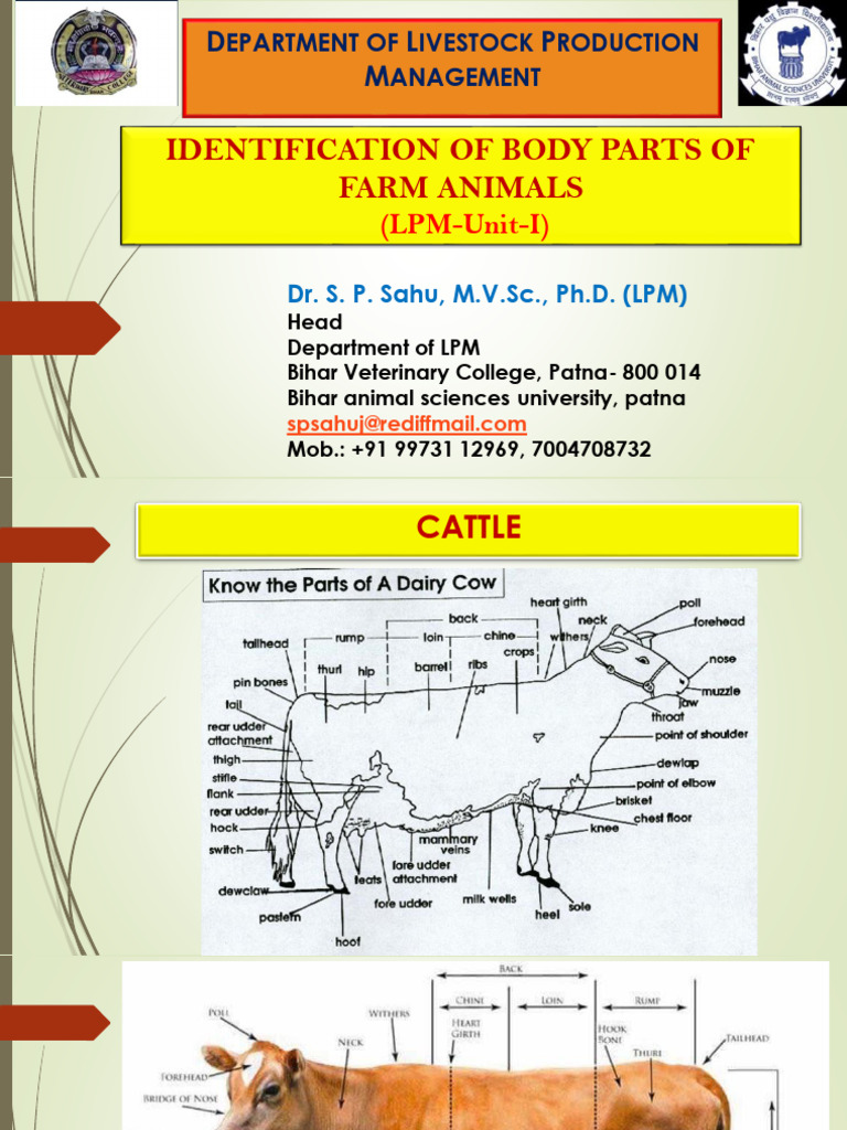 LPM Identification of Body Parts of Farm Animals | PDF | Feather | Arm