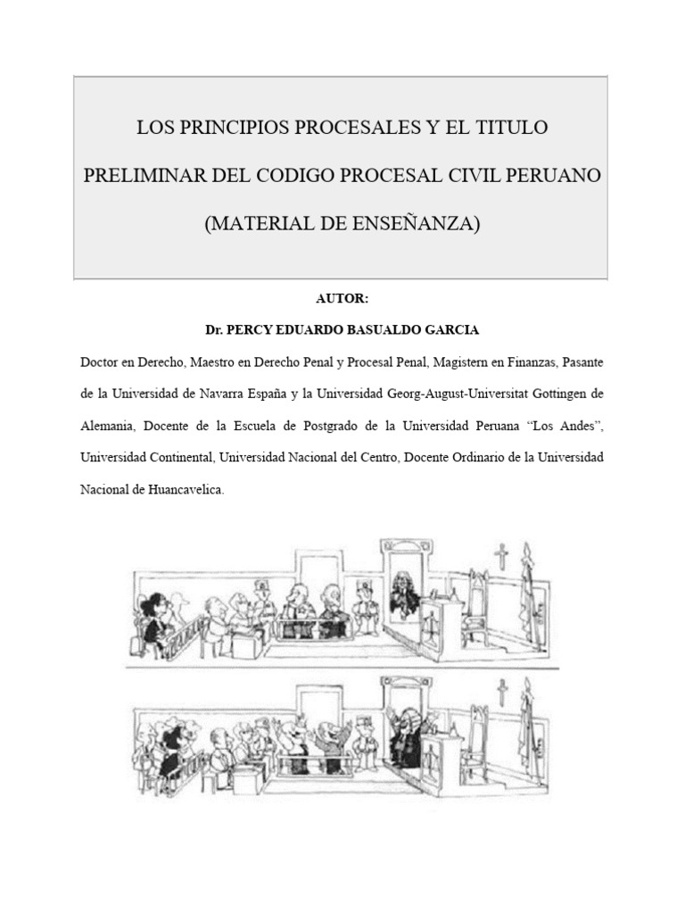 Los Principios Procesales y El Titulo Preliminar Del Codigo Procesal Civil Peruano Nuevo | PDF ...