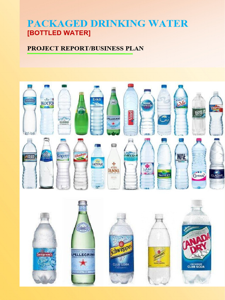 Packaged Drinking Water Business Plan | PDF | Water | Carbonated Water
