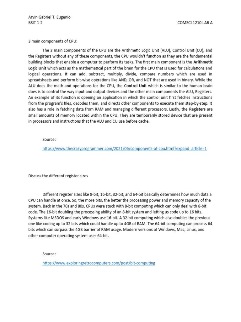 Computer Organization-Essay | PDF