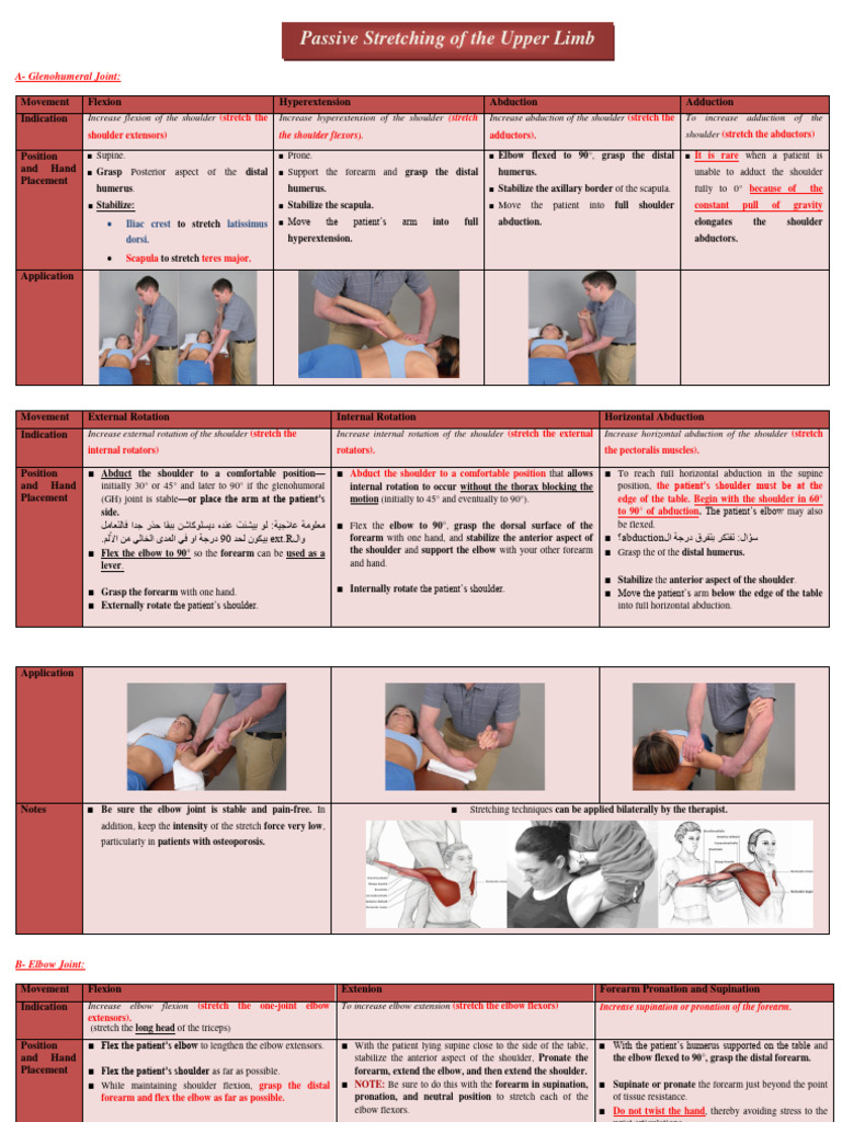 Upper Limb Stretching Exercise | PDF | Anatomical Terms Of Motion | Elbow