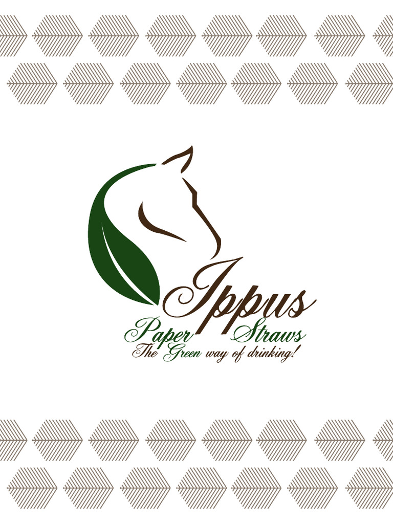 IPPUS Paper Straws English | PDF