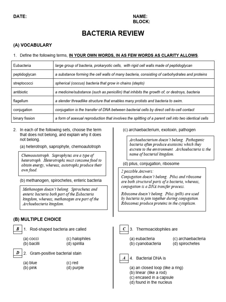 Bacteria Review (Spring 2020) - Answer Key | PDF | Bacteria | Cell ...