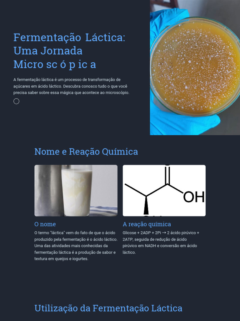 Fermentação Láctica: Processos e Aplicações | PDF | Fermentação | Química