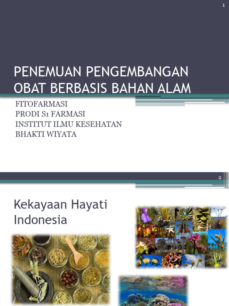 1 Penemuan Pengembangan Obat Berbasis Bahan Alam | PDF
