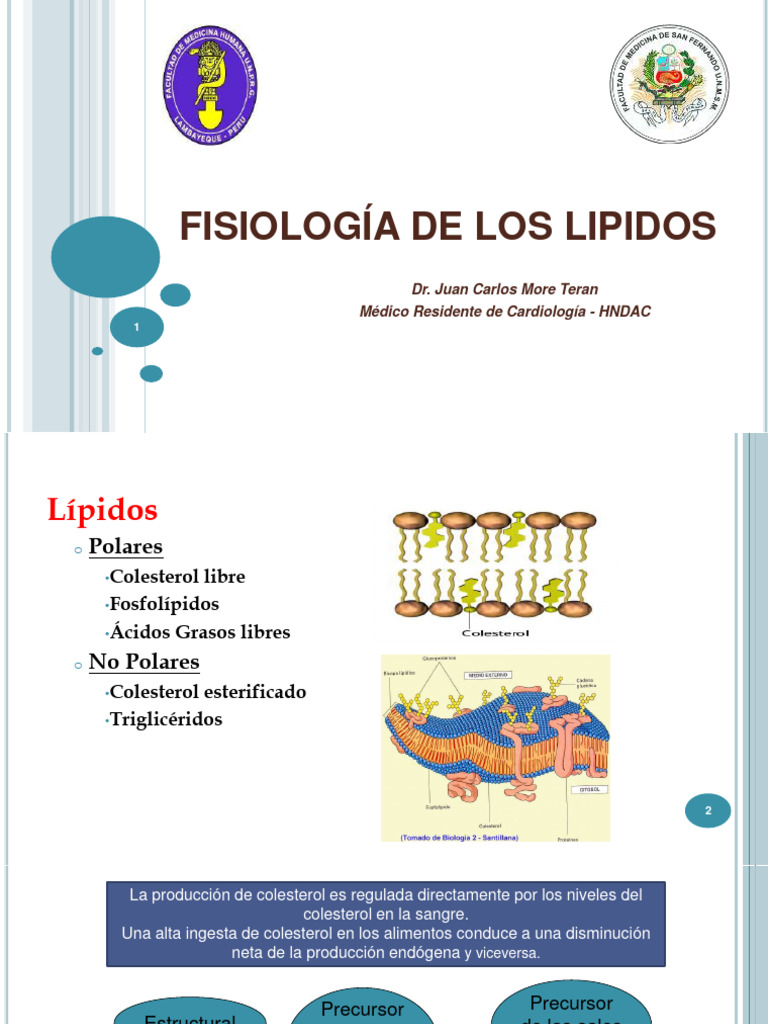Fisiologiadeloslipidos-141210151837-Conversion-Gate01 (1) | PDF | Lipoproteína | Triglicéridos