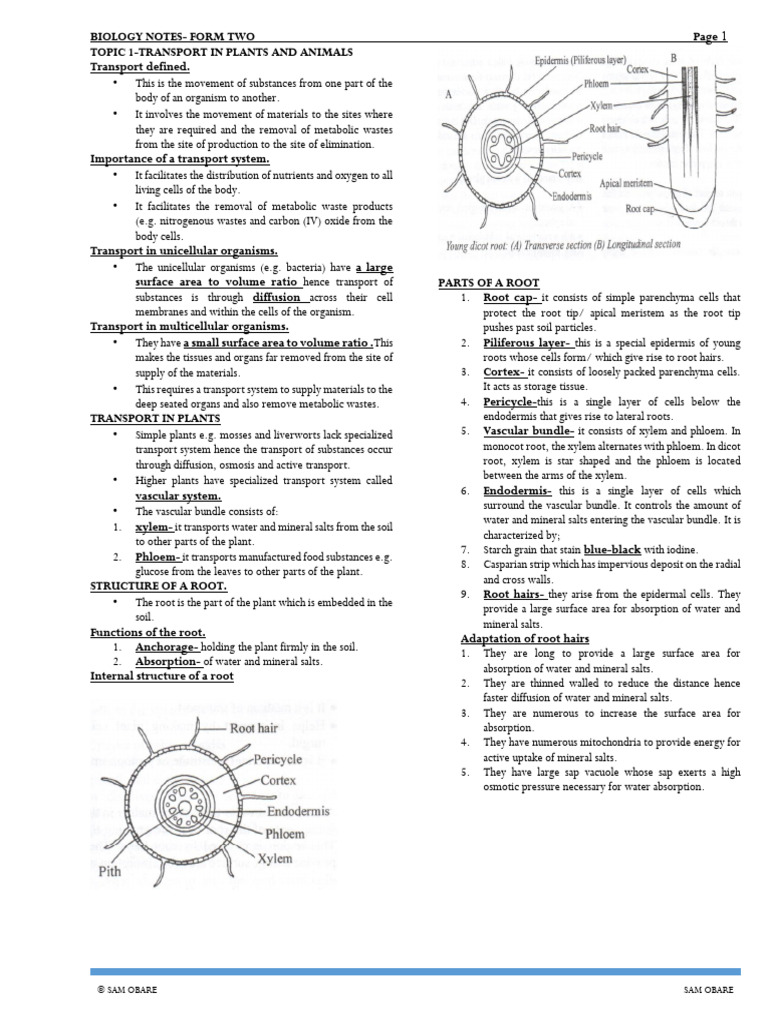 Form 2 Notes-1 | PDF | Plant Stem | Tissue (Biology)